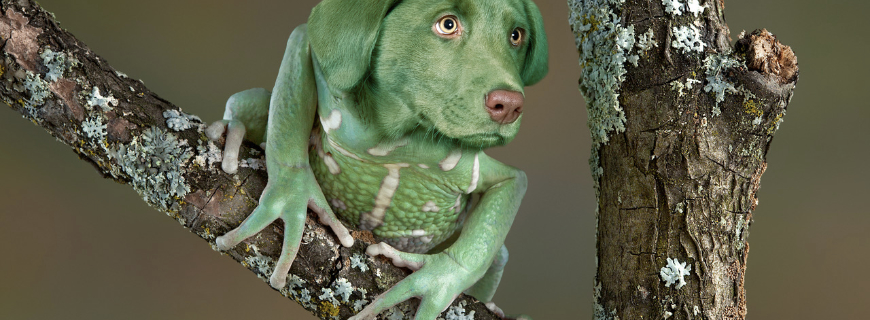 El trabajo más raro del mundo - Aeaps Salud